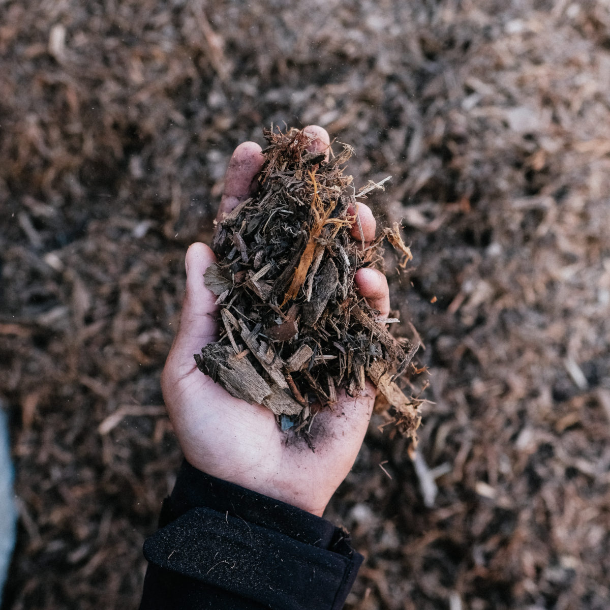 Arbor Mulch - ANS Materials